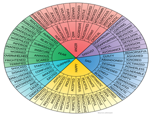 Basics of Emotions – Paawni Goyal